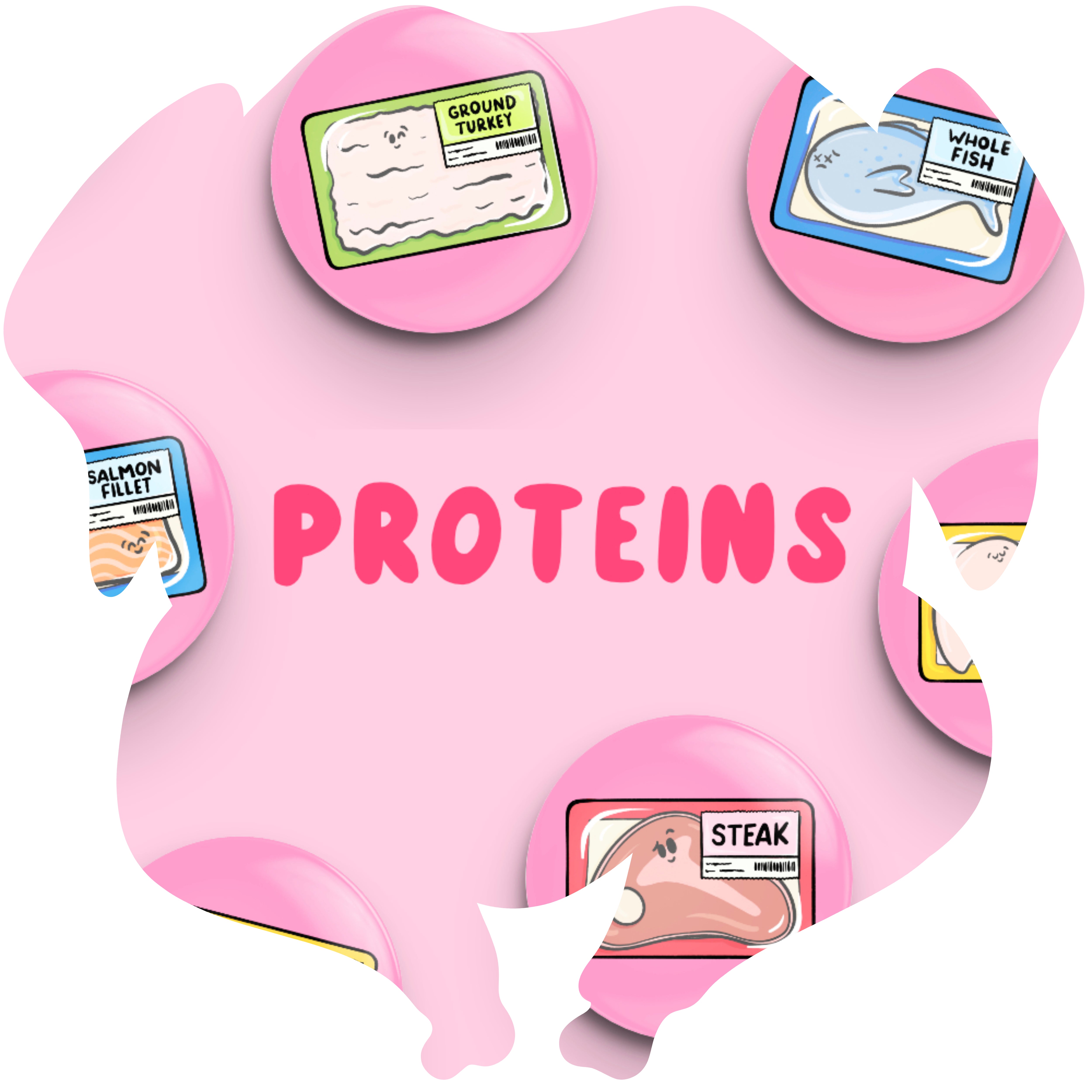 Proteins – Millie Paper Co.